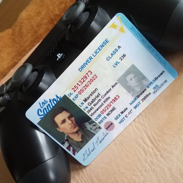 Los Santos Driver's License with Holographic Overlay — DOPPELBADGER